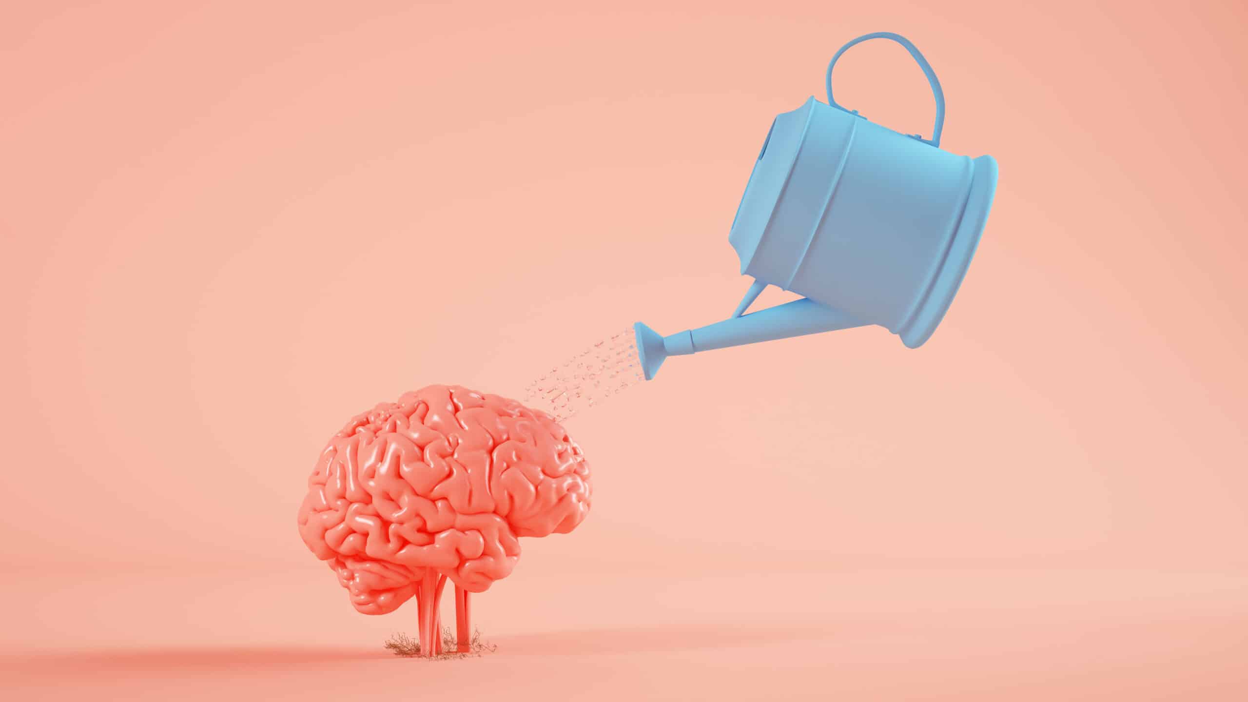 Daily practices to keep a good Mental Hygiene - World Happiness Foundation